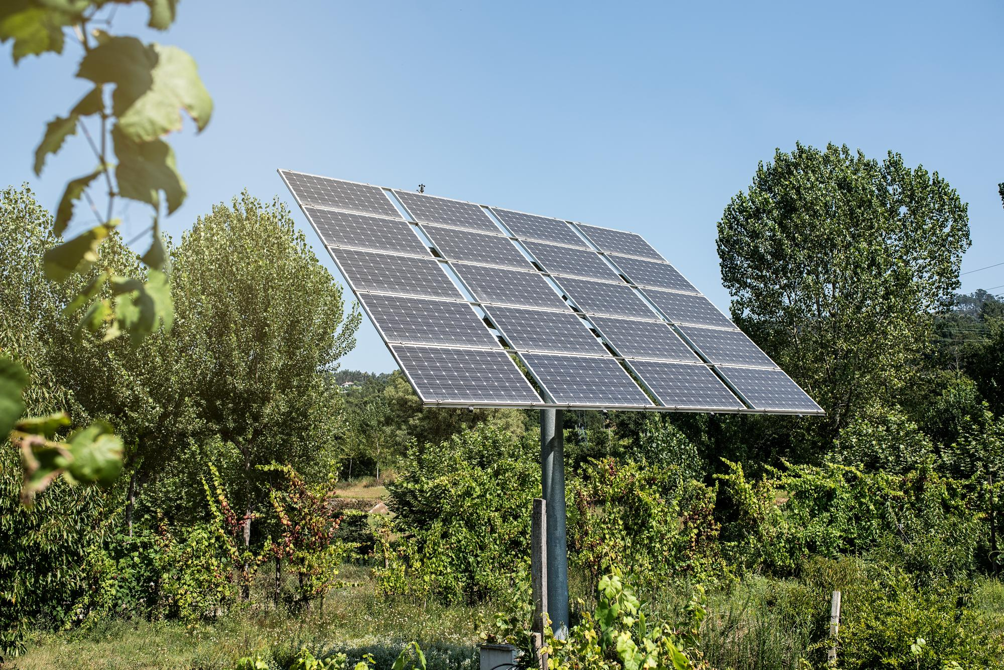 Quick Guide: How to Recycle Solar Panels in Sacramento (With Expert ...